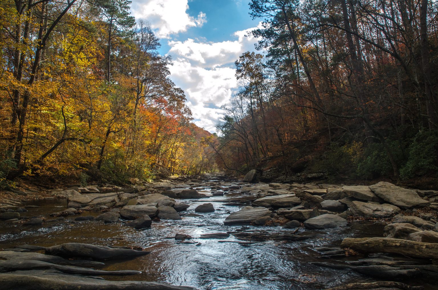 Fall in the Mountains of North Georgia: 25 Places to See Fall Colors