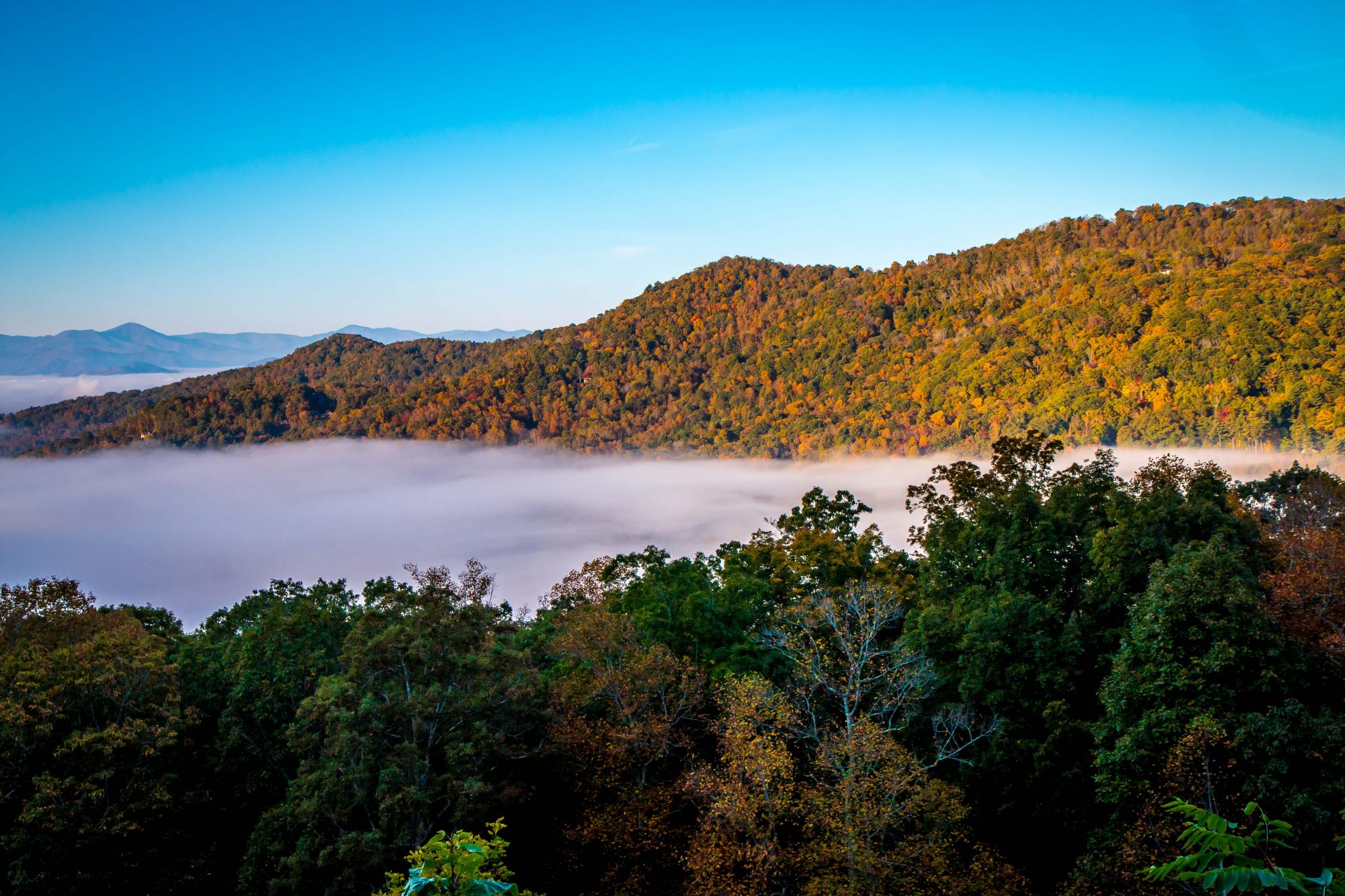 30 Fascinating Blue Ridge Mountains Facts