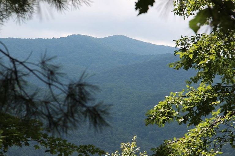 The 15 Best North Georgia Mountains for Hiking