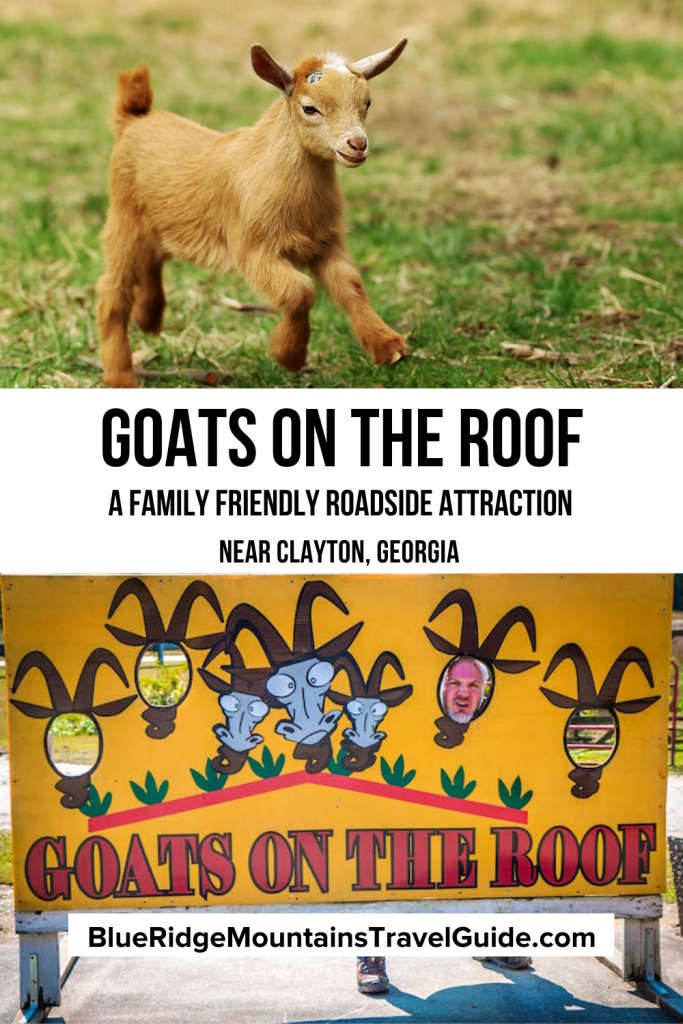 Goats On The Roof: Family Friendly Fun Near Clayton GA - Blue Ridge ...