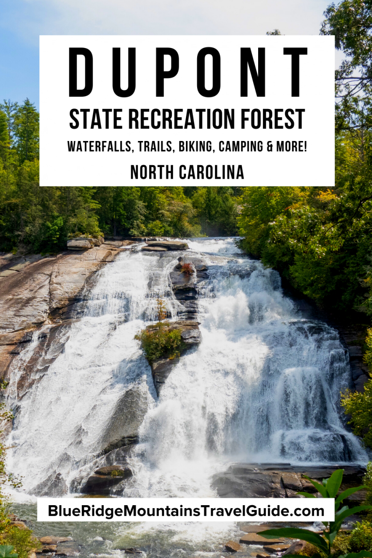 The Best Things to Do in DuPont State Forest, NC