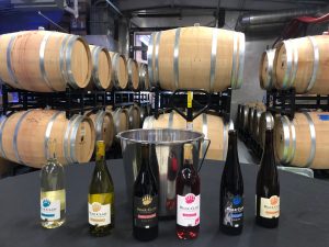 The 25 Best Wineries in the North Georgia Mountains