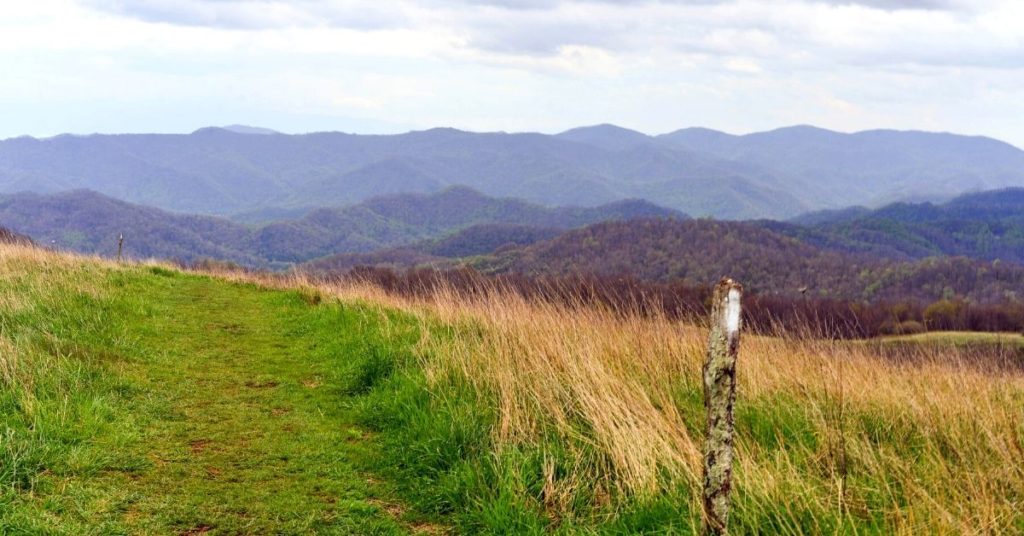 The 15 Best Boone NC Hiking Trails to Explore