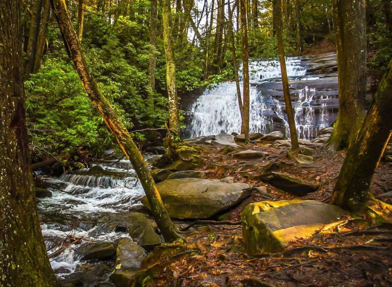 The 15 Best Day Hikes on the Appalachian Trail in Georgia