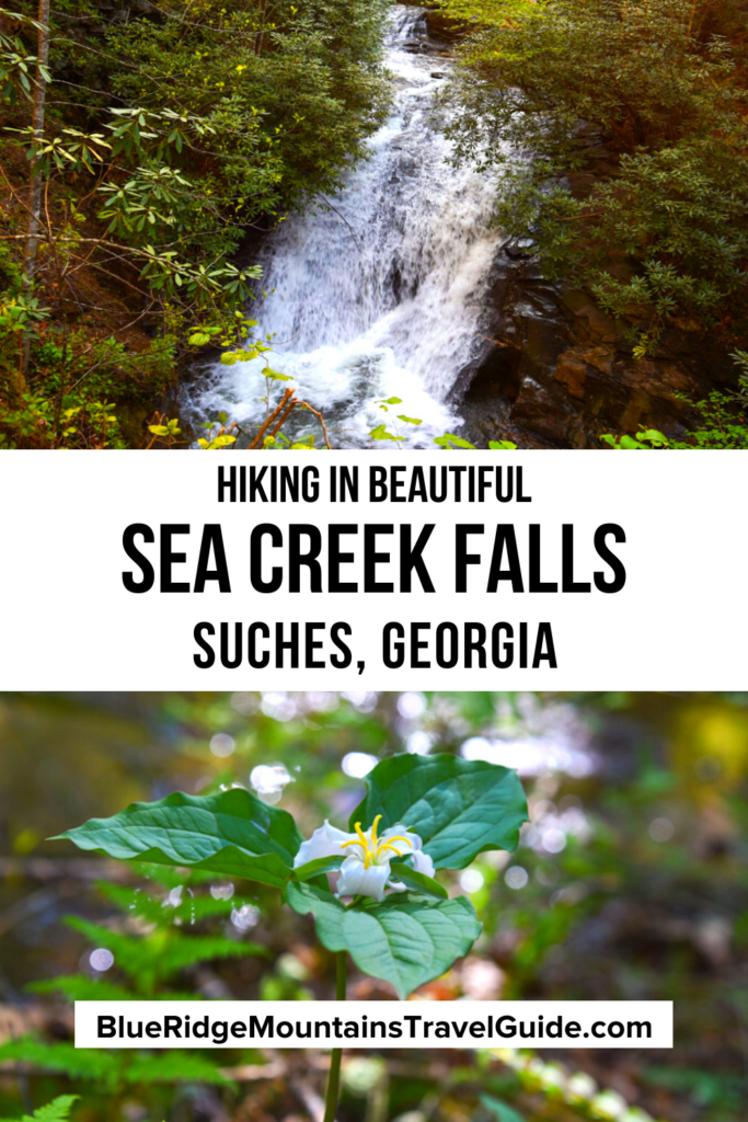 How to Get to Sea Creek Falls in Suches, GA