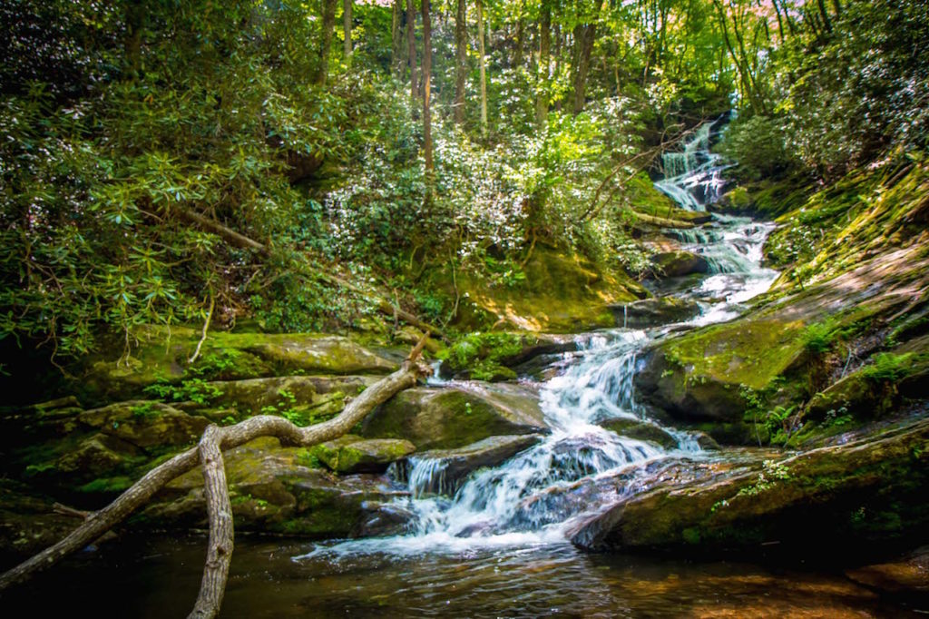 The 25 Best Blue Ridge Parkway Waterfalls in North Carolina