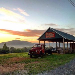 The 10 Best Apple Orchards in Ellijay, Georgia