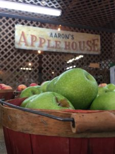 Apple Picking in Georgia: The 14 Best GA Apple Orchards to Visit
