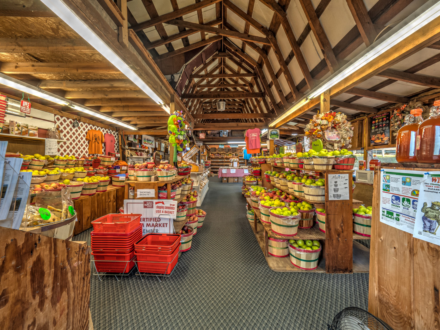 The 10 Best Apple Orchards in Ellijay, Georgia