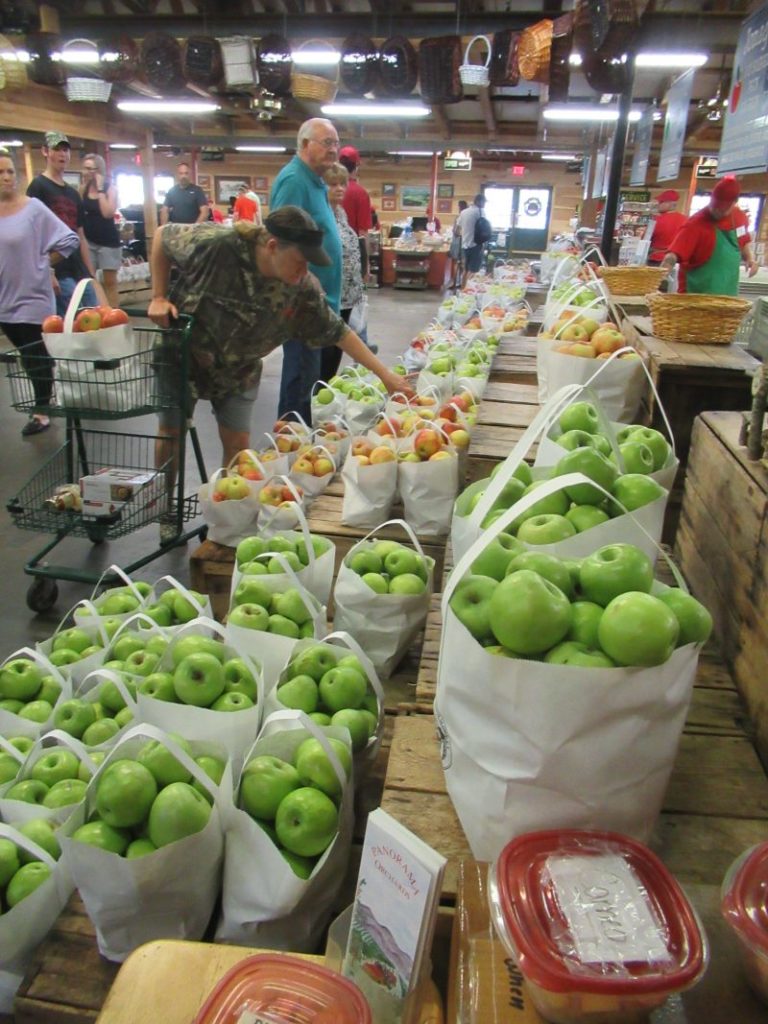 The 10 Best Apple Orchards in Ellijay, Georgia
