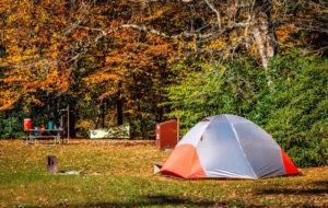 The 13 Best Blue Ridge Parkway Campgrounds to Visit