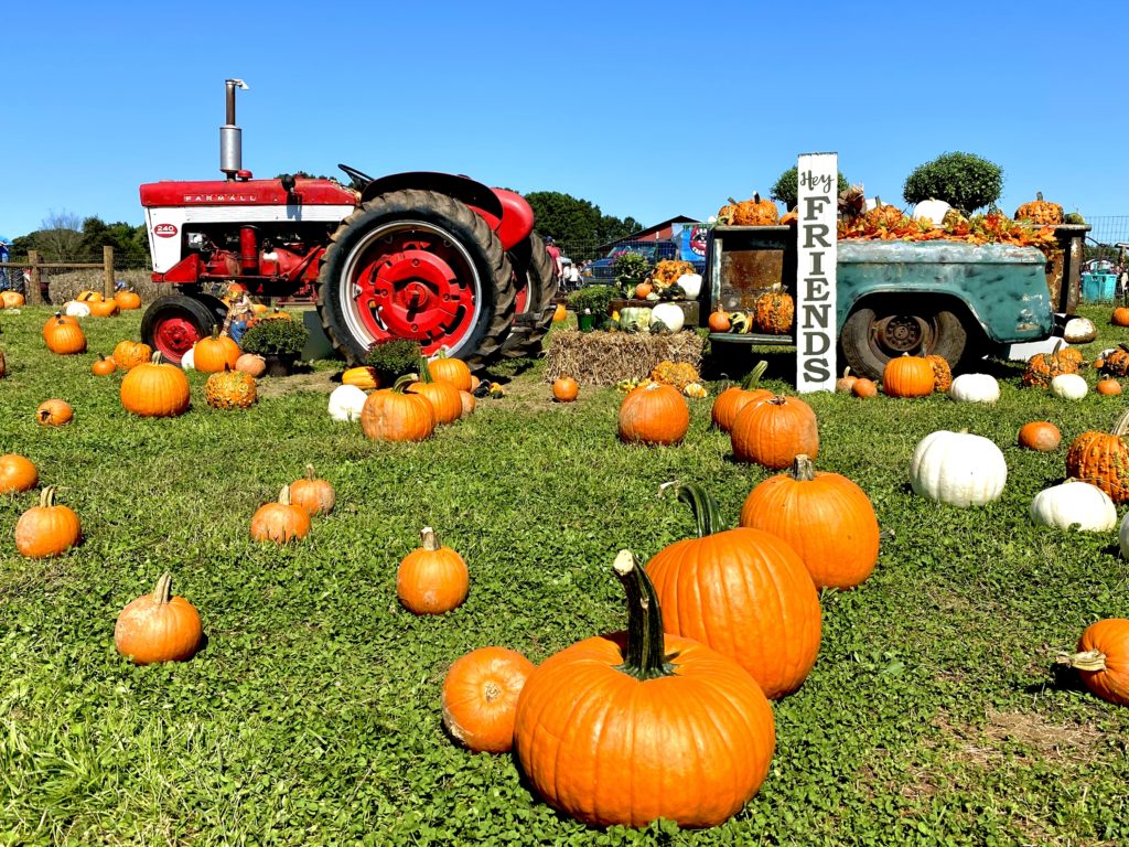 The 25 Best Pumpkin Patches in NC