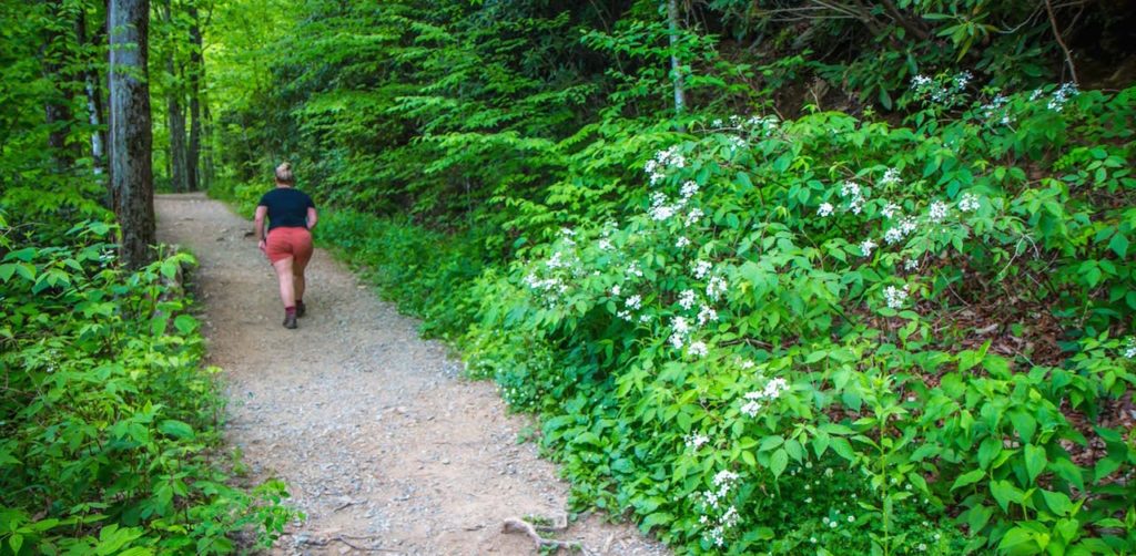 Why the 7 Principles of Leave No Trace Matter Now More Than Ever