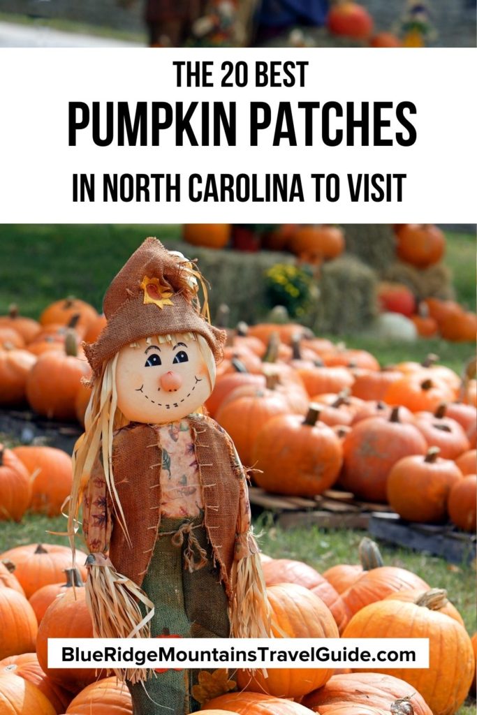 The 25 Best Pumpkin Patches in NC