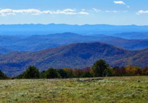 The 13 Best Blue Ridge Parkway Campgrounds to Visit