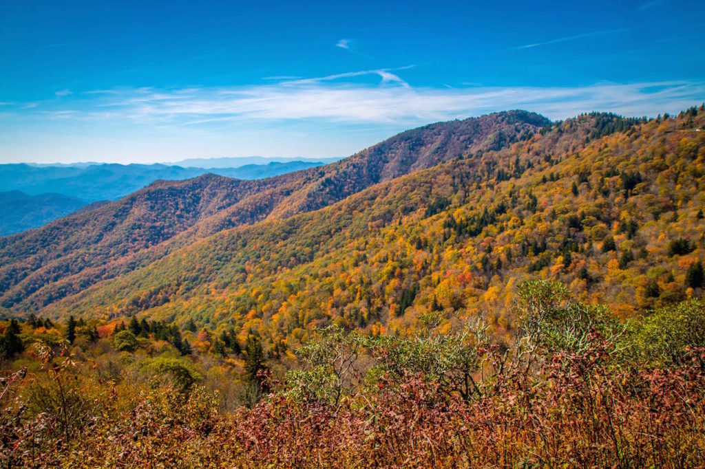 Fall in North Carolina: 25 Great Places to See Fall Colors in NC