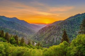 30 Fascinating Facts About the Appalachian Mountains for Trivia Buffs