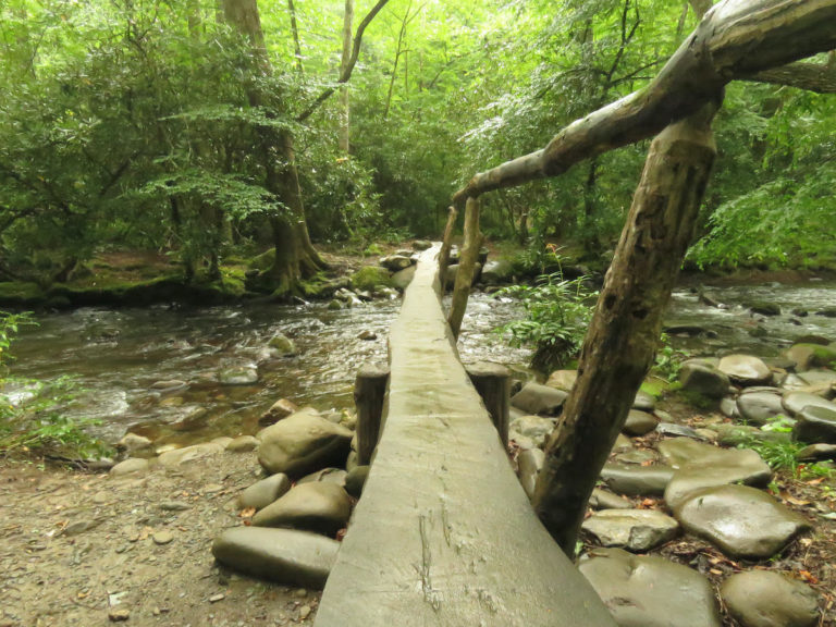 The 13 Best Blue Ridge Parkway Campgrounds to Visit