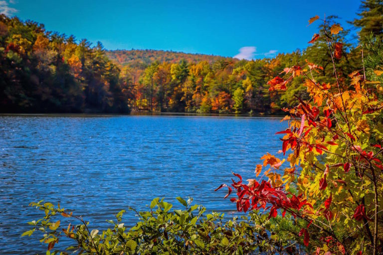 The 20 Best Lakes in the North Georgia Mountains