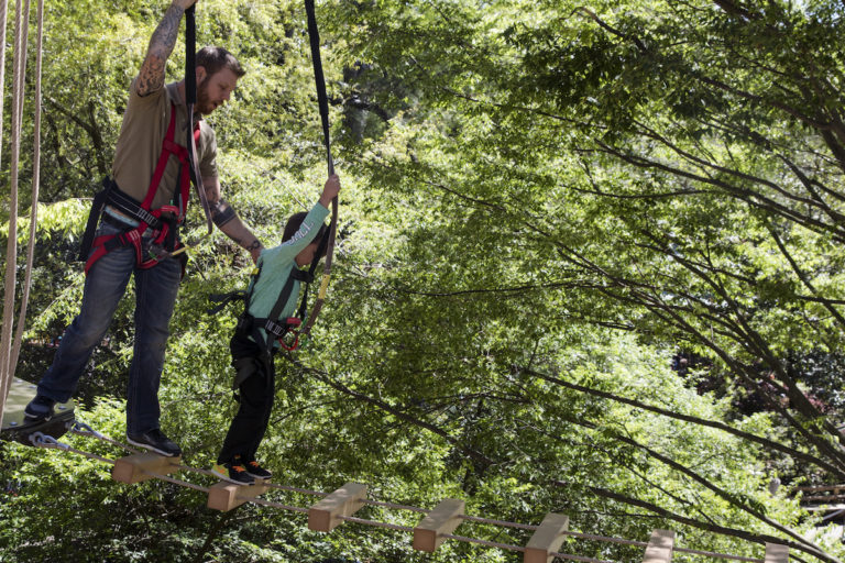The 10 Best Places for Ziplining in North Georgia