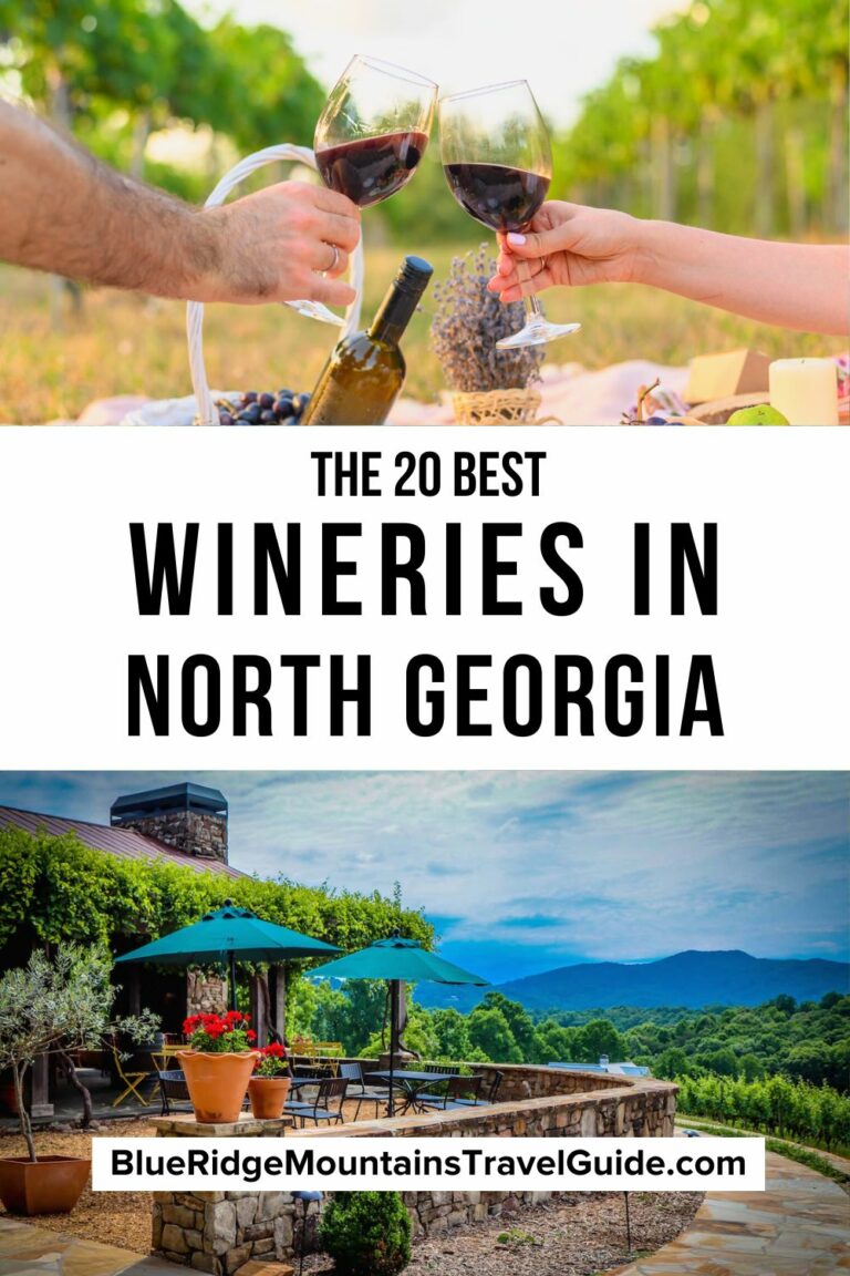 The 25 Best Wineries in the North Georgia Mountains