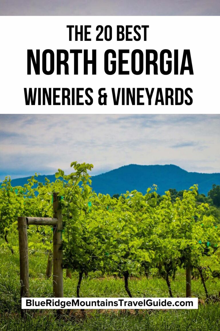 The 25 Best Wineries in the North Georgia Mountains
