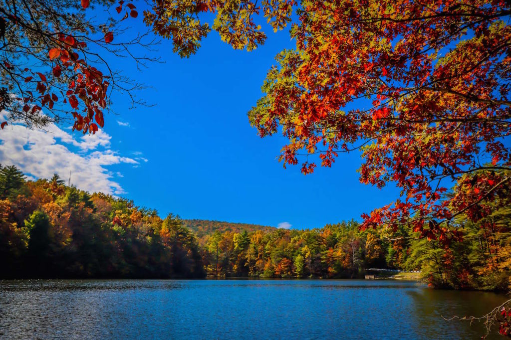 Fall in the Mountains of North Georgia: 25 Places to See Fall Colors