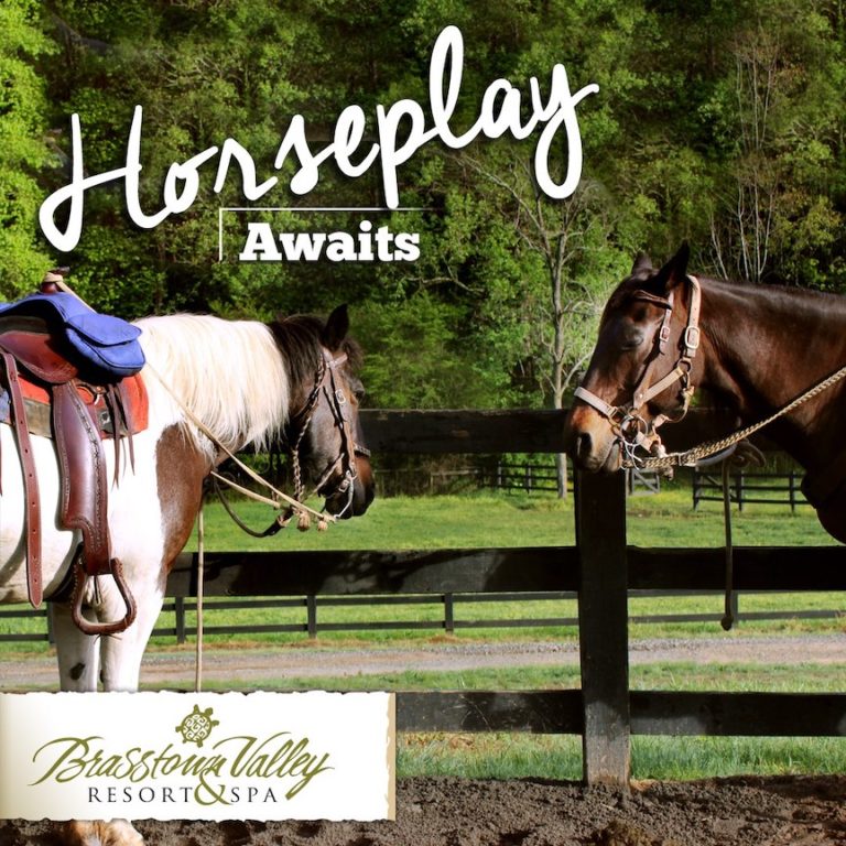 15 Great Places to Go Horseback Riding in Georgia