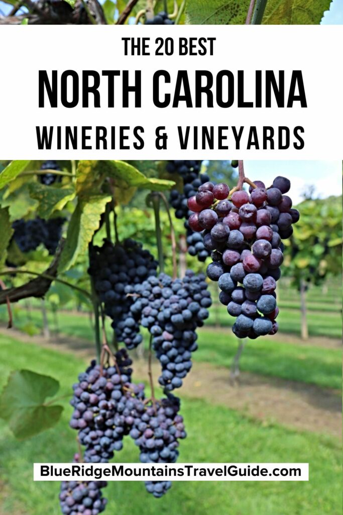 The 20 Best NC Wineries to Visit