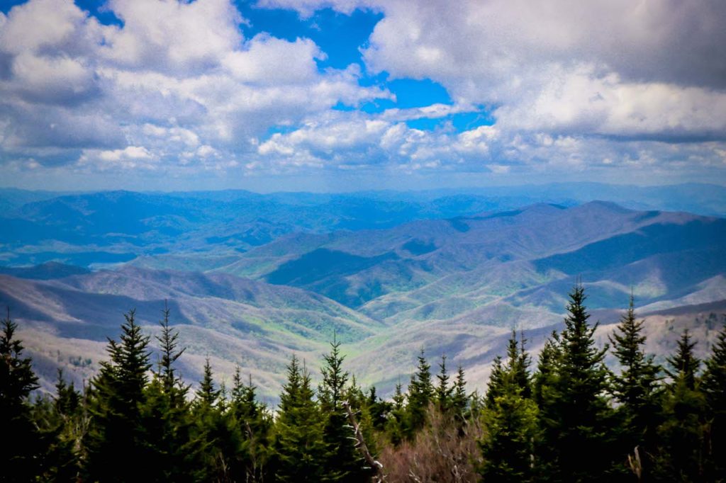 The 15 Best Things to Do in Great Smoky Mountains National Park