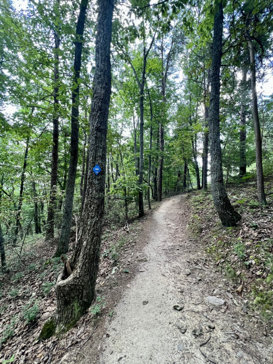 Hiking the Indian Seats Trail at Sawnee Mountain Preserve (Near Atlanta)