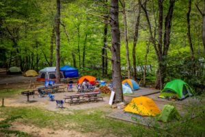 The 15 Best Great Smoky Mountains Campgrounds to Visit