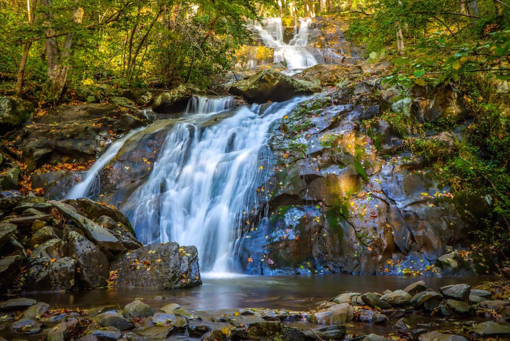 Upper Shamokin Falls Trail