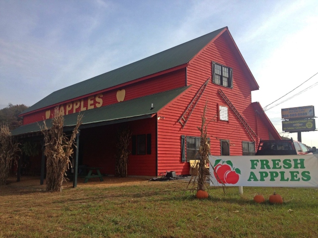 Apple Picking in Georgia: The 14 Best GA Apple Orchards to Visit (2023)