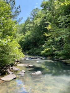 Hiking the Lula Lake Land Trust Near Lookout Mountain GA