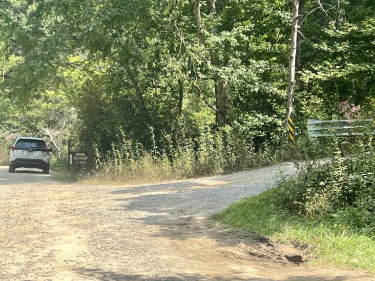 Hiking the Toccoa River Swinging Bridge Near Blue Ridge GA