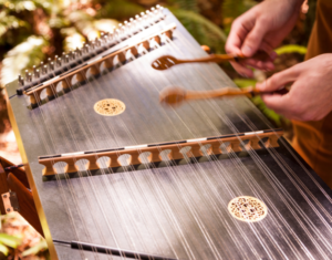 What is Bluegrass? The History & Evolution of Appalachian Music
