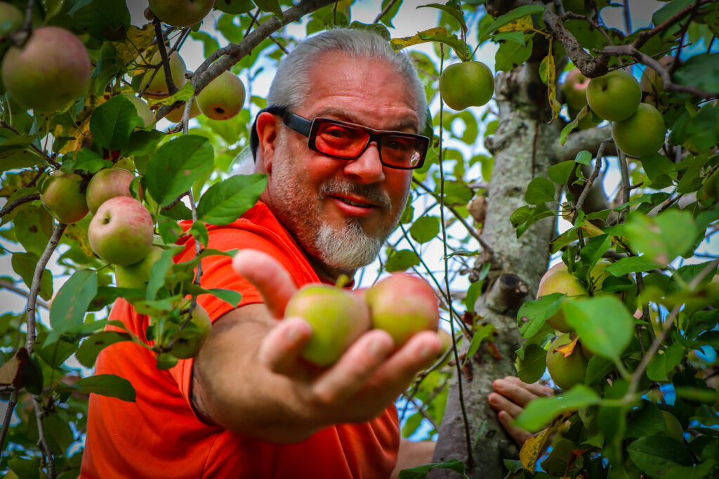 Apple Picking & More at Stepp's Hillcrest Orchard in Hendersonville NC