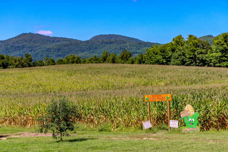 The 10 Best Corn Mazes in North Carolina to Visit - Blue Ridge ...
