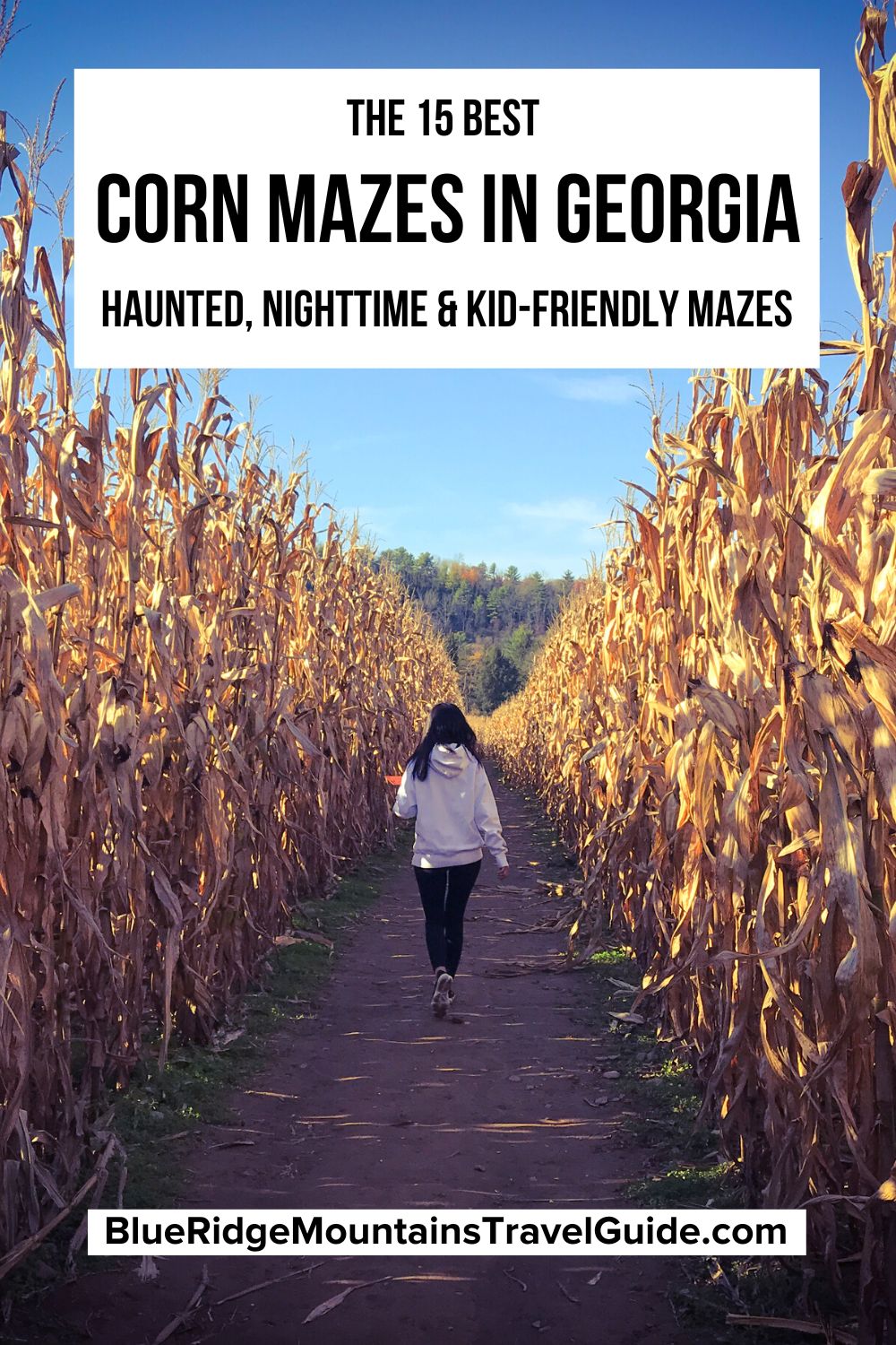 The 15 Best Corn Mazes in Georgia (Haunted Mazes, Kids Mazes & More)