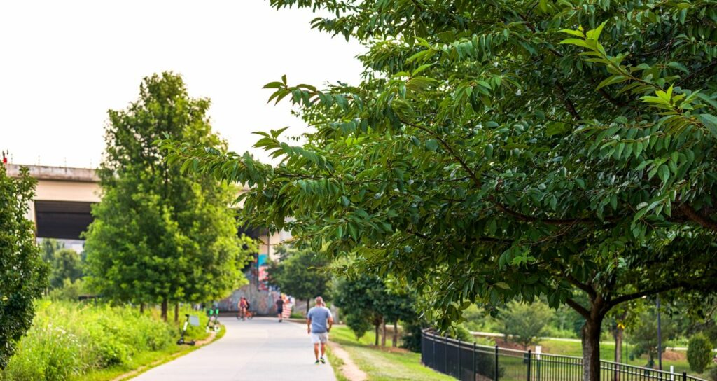 The 20 Best Hiking Trails In Atlanta GA (& Hikes Near Atlanta)