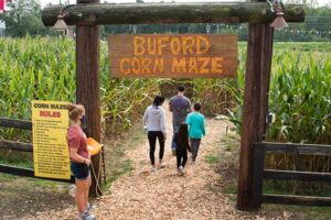 The 20 Best Corn Mazes in Georgia (Haunted Mazes, Kids Mazes & More)