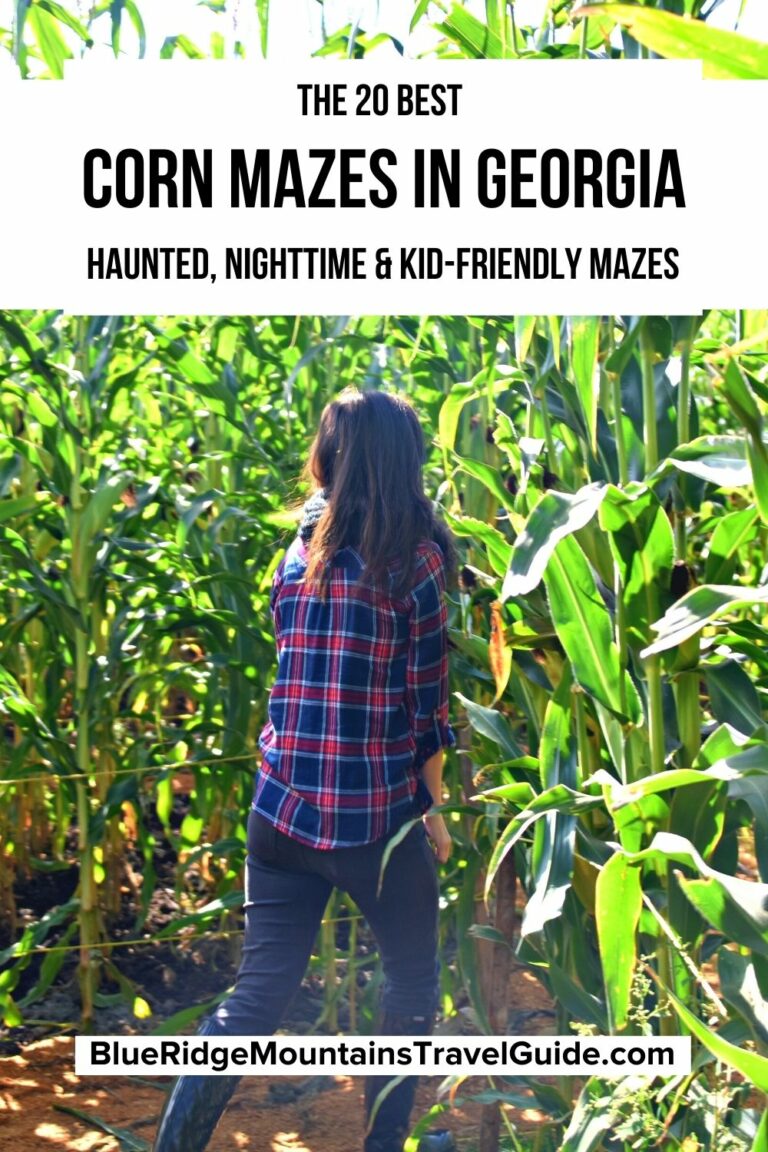 The 20 Best Corn Mazes in Georgia (Haunted Mazes, Kids Mazes & More)