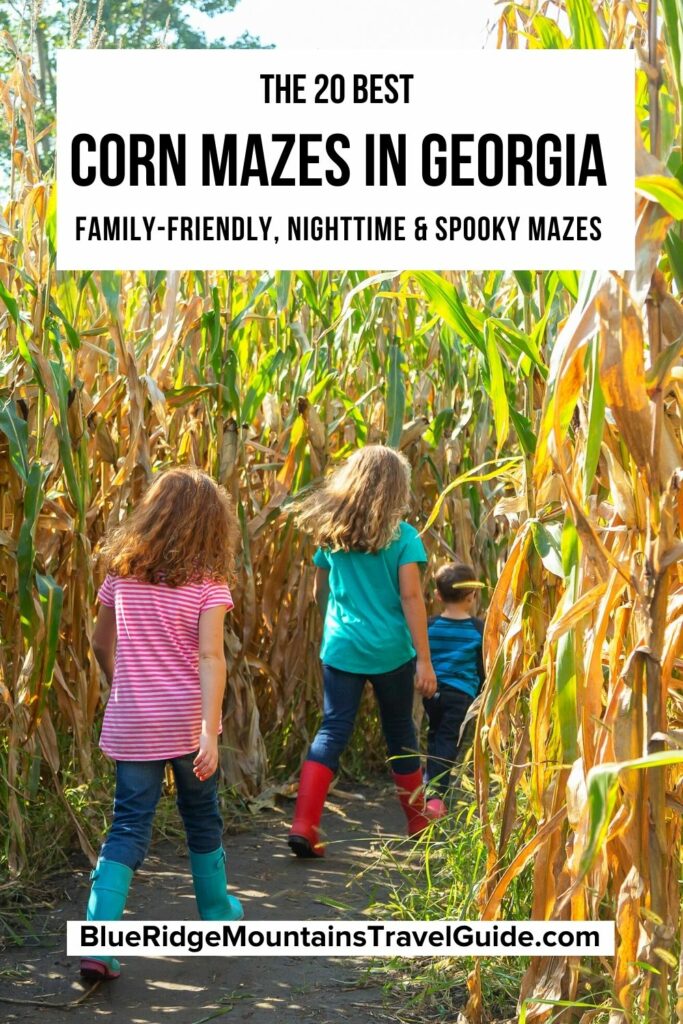 The 20 Best Corn Mazes in Georgia (Haunted Mazes, Kids Mazes & More)