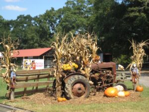 The 20 Best Corn Mazes in Georgia (Haunted Mazes, Kids Mazes & More)