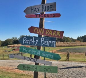 The 20 Best Corn Mazes in Georgia (Haunted Mazes, Kids Mazes & More)