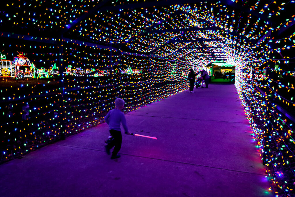 The 20 Best Christmas Lights in Atlanta and North Georgia (2025)