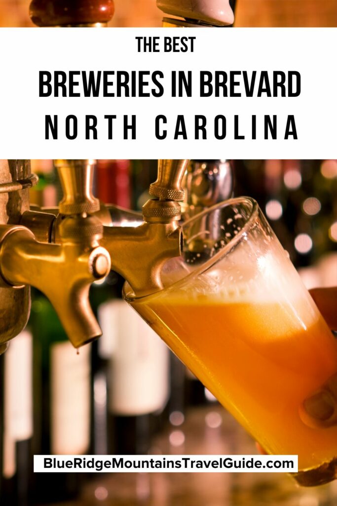 The 12 Best Brevard Breweries and Cideries to Visit