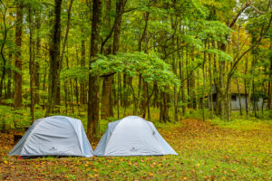 The 10 Best Campgrounds in Virginia