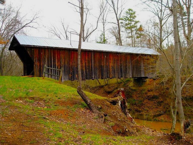7 Covered Bridges in North Carolina You Can Visit in 1 Day